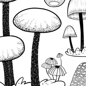 Mushroom Fungi Fungus Instant Download Digital Clip Art Digi Stamps ...