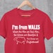I'm From Wales T-shirt, Funny Welsh Shirt, Welsh Sheep Joke, Welsh ...