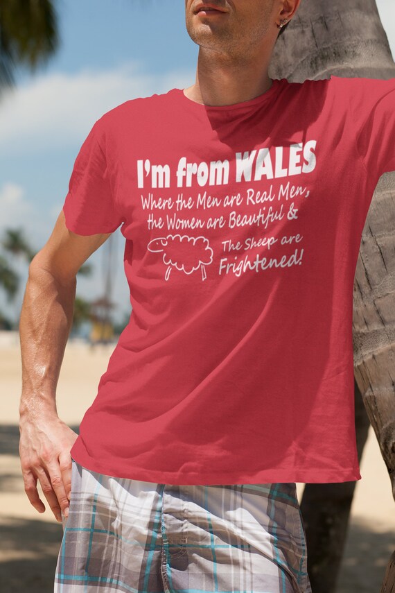 I'm From Wales T-Shirt. Funny Welsh Shirt. Welsh Slogan | Etsy
