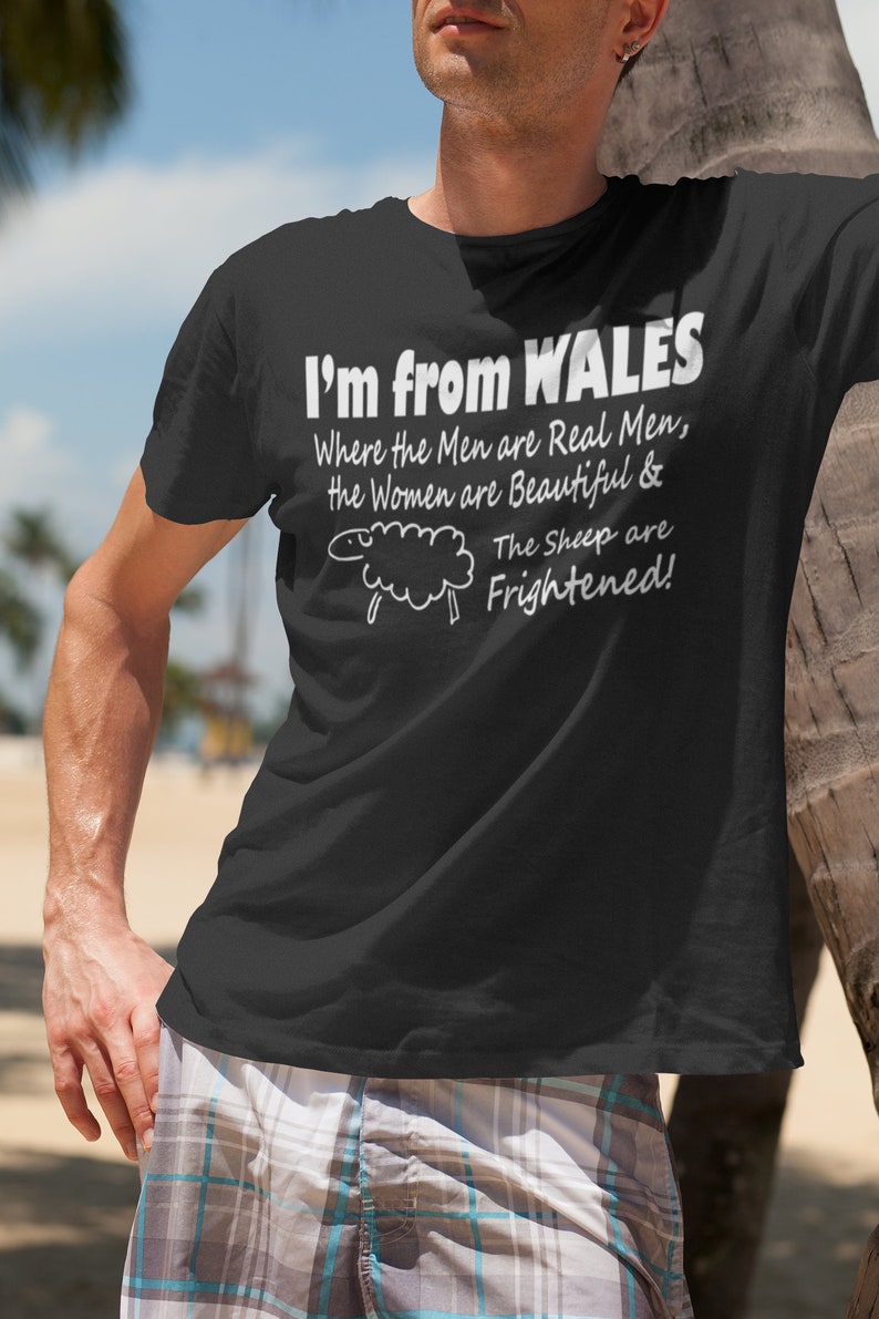 I'm From Wales T-Shirt. Funny Welsh Shirt. Welsh Slogan | Etsy