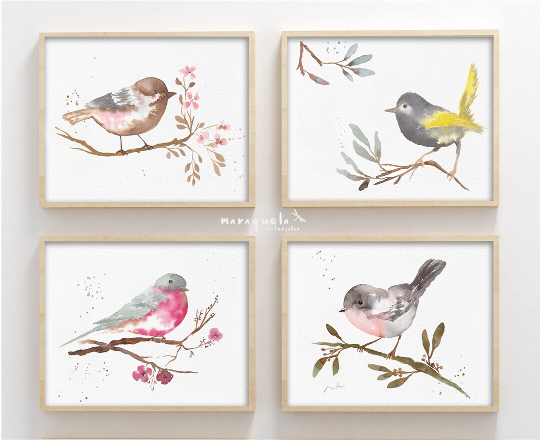 BIRDS Watercolor, Birds SET, Illustrations - Birds Collection - Bird ...