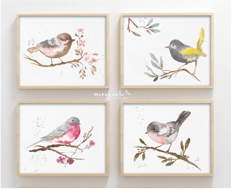 BIRDS watercolor Birds SET illustrations Birds Collection | Etsy