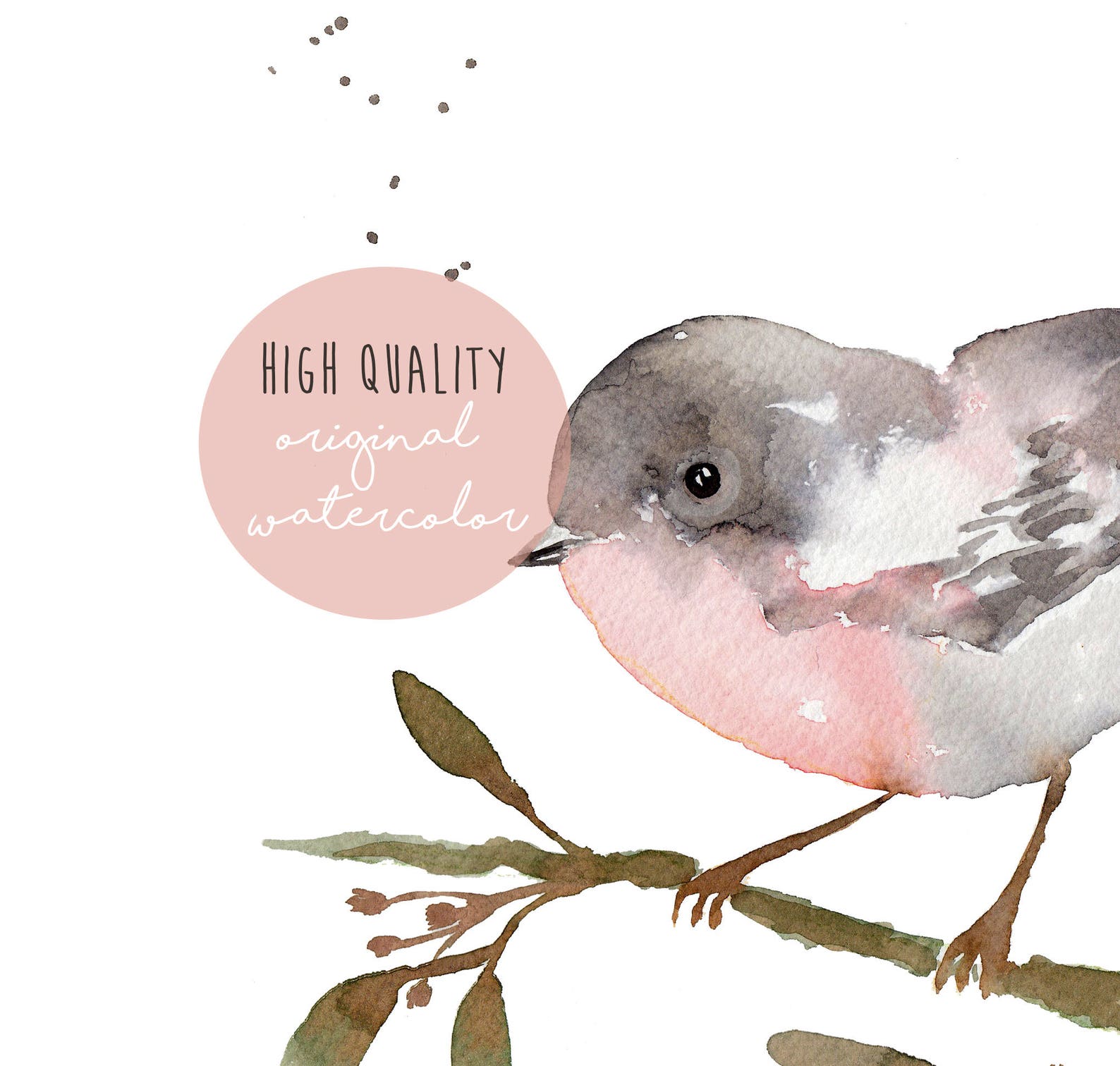 BIRDS Watercolor, Birds SET, Illustrations - Birds Collection - Bird ...