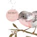 BIRDS Watercolor, Birds SET, Illustrations - Birds Collection - Bird ...