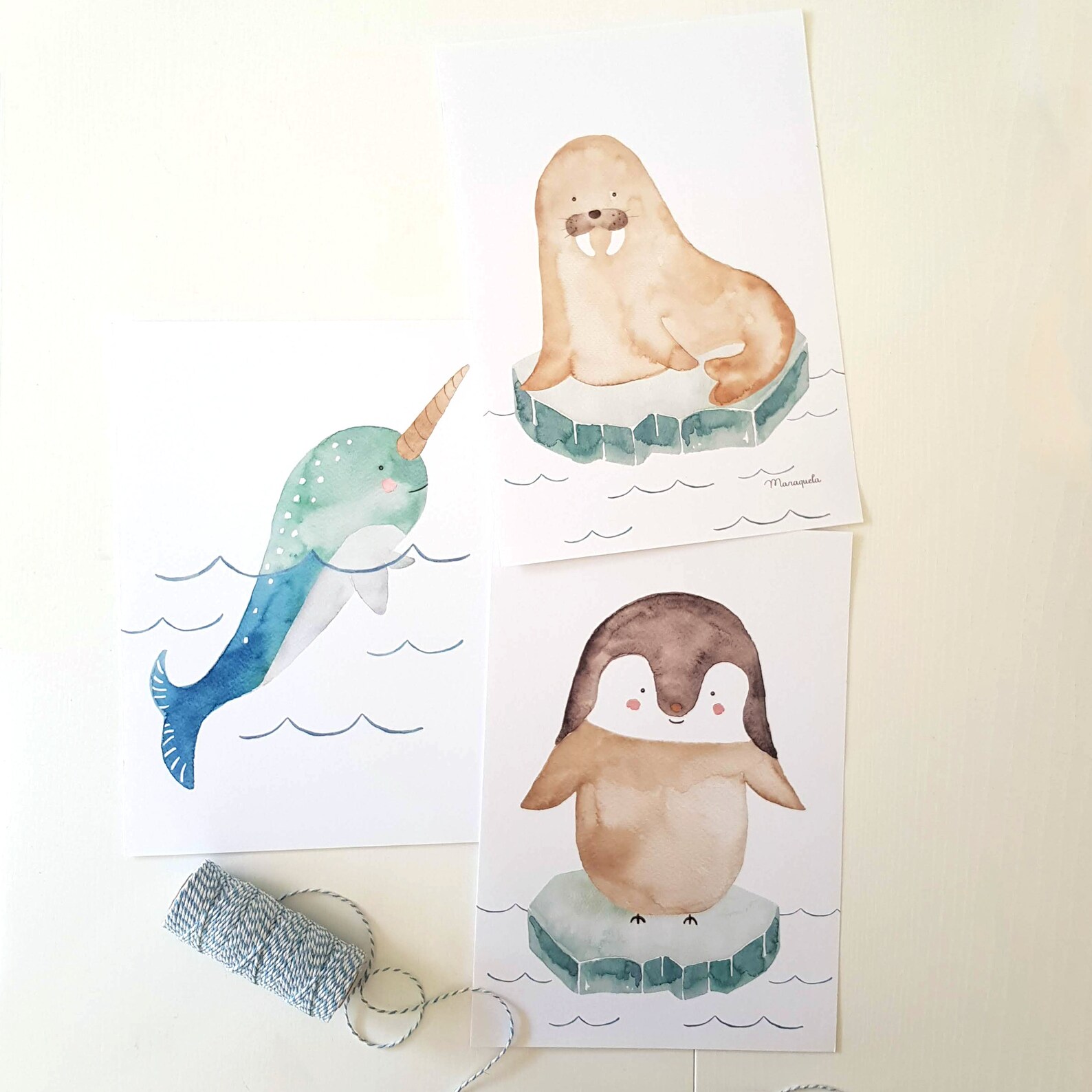 ARCTIC Animals Penguin Narwhal and Walrus. Illustrations in | Etsy