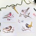 BIRDS Watercolor, Birds SET, Illustrations - Birds Collection - Bird ...