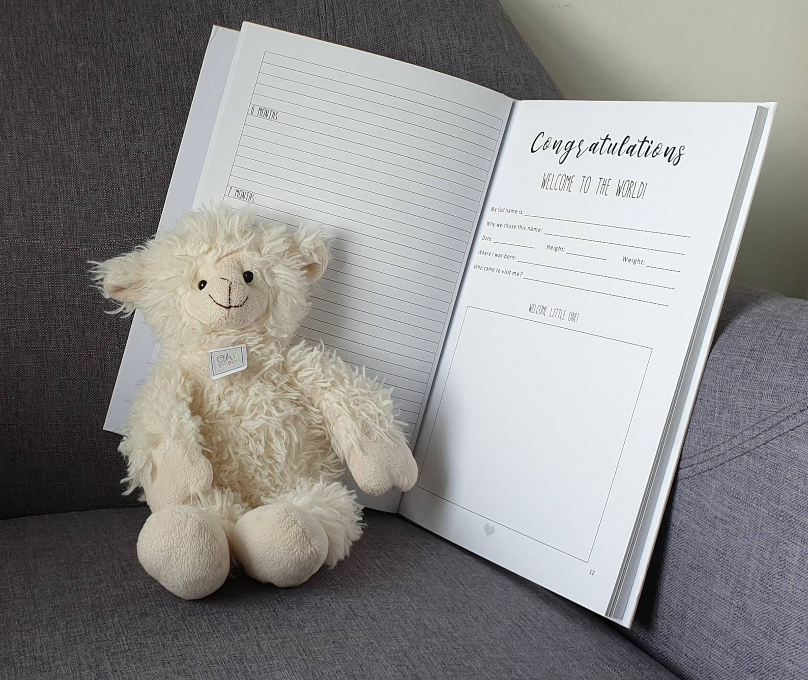 Baby Milestone Record Development Book Gender Neutral A4 Where - Etsy