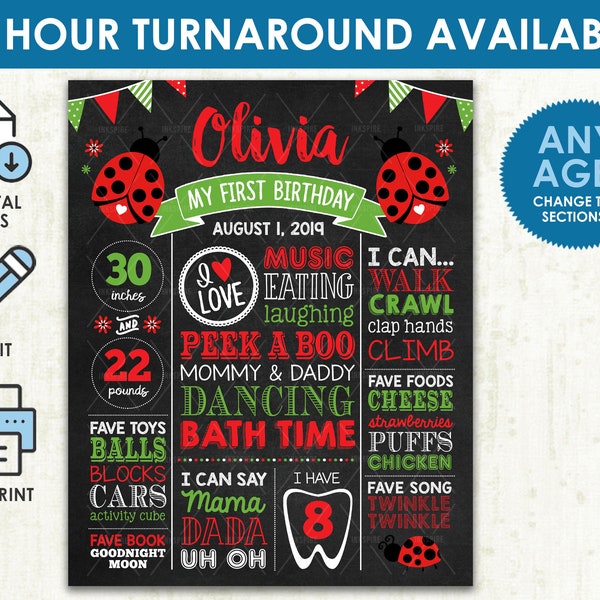 Ladybug Theme Party - Etsy