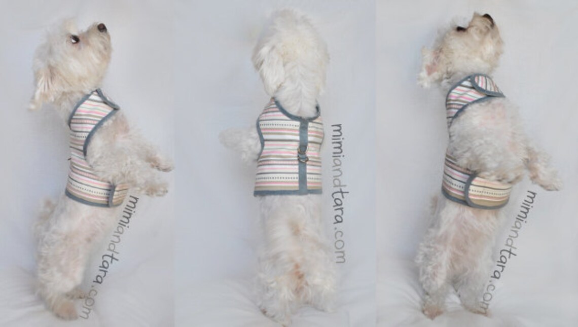 Dog Harness Pattern Bundle All Sizes Vest Harness Sewing | Etsy