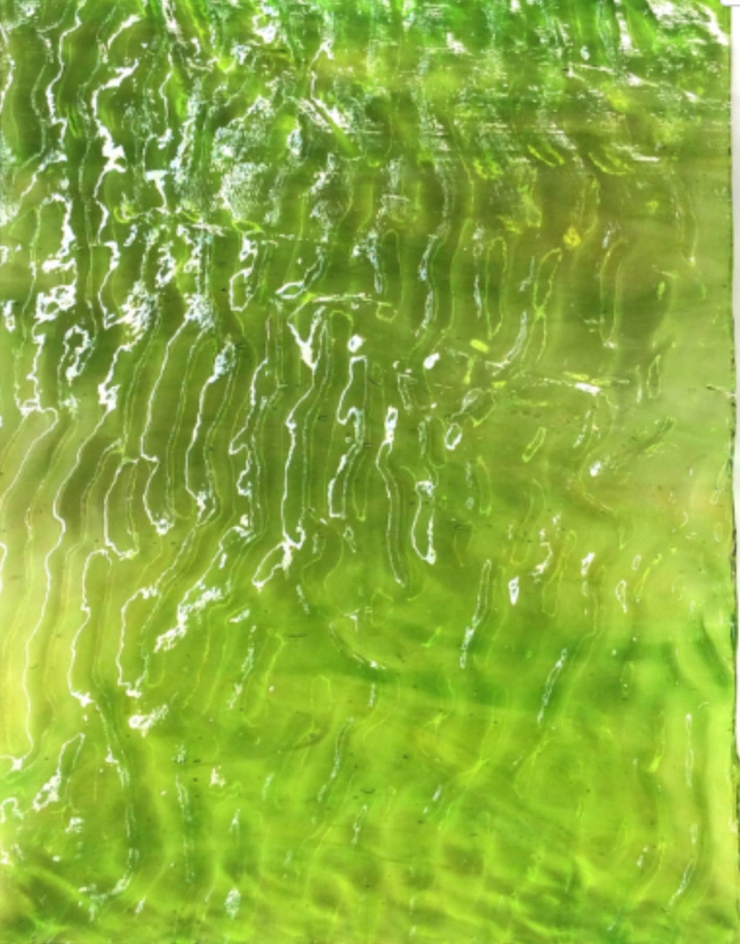 LIME RIPPLE Transparent - Some With Wispy or Factory Edge - Stained ...