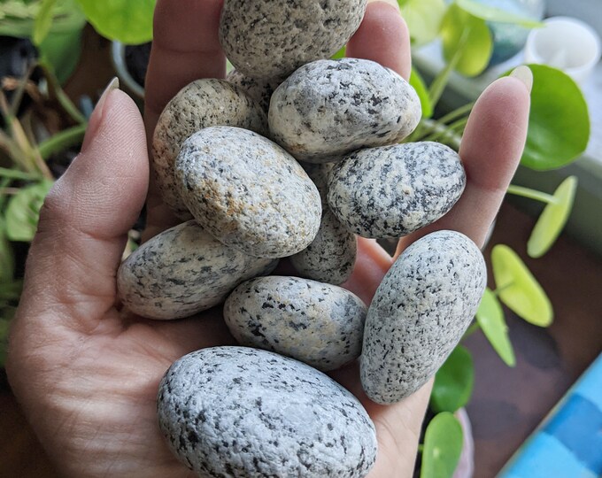 Smooth Granite Beach Stones Round Oval Mica Sparkle Natural Decor Knobs ...