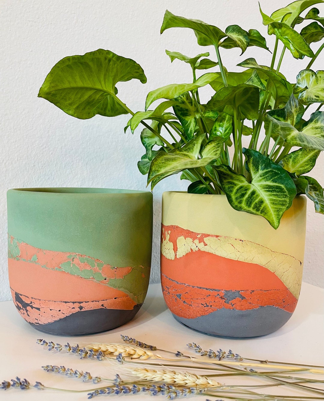 Volcano Planter | Green or Mustard, Terracotta & Charcoal Layered ...