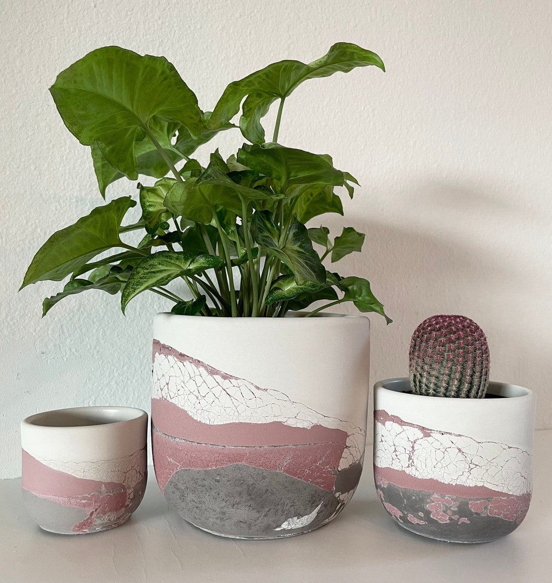 Comfort Planter | Mauve | Layered Concrete Planter | Minimalist Planter ...