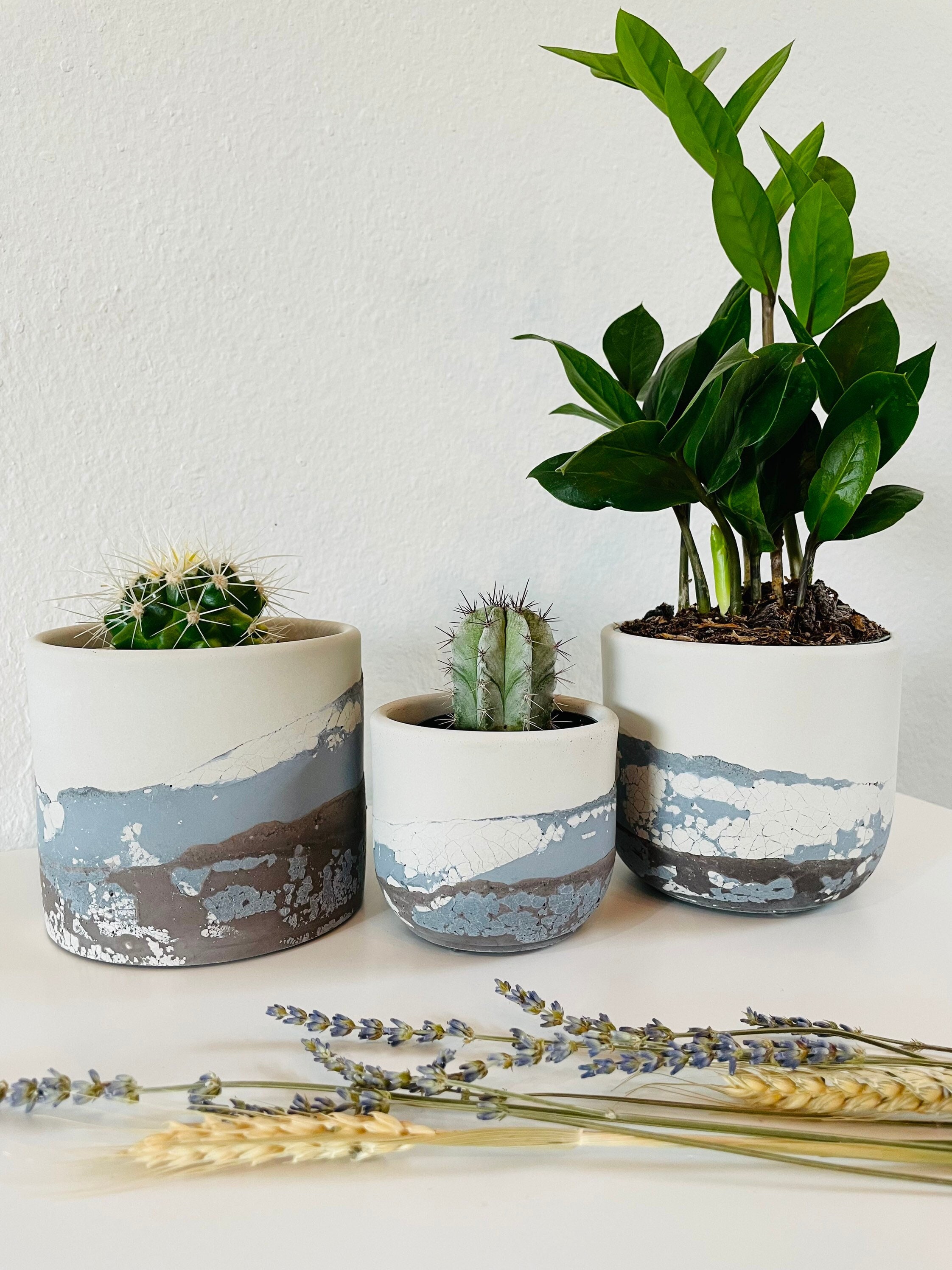 Comfort Planter | Blue Gray | Layered Concrete Planter | Minimalist ...