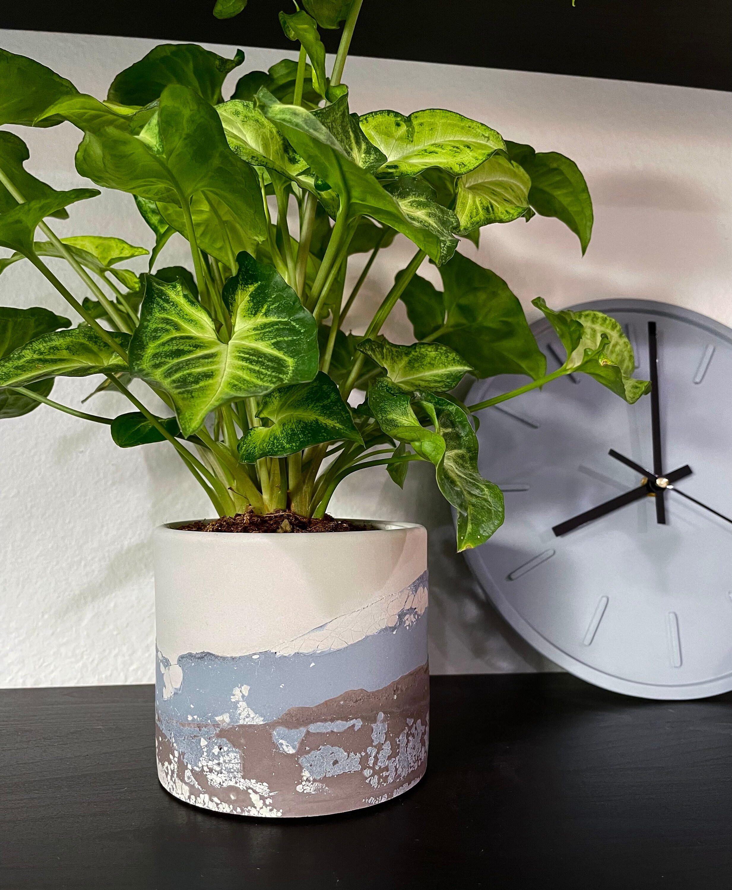 Comfort Planter | Blue Gray | Layered Concrete Planter | Minimalist ...