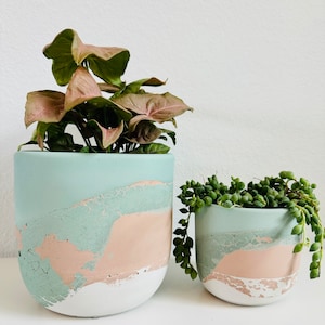 Take My Hand Planter | Layered Concrete Planter | Tulip Shaped Plant ...