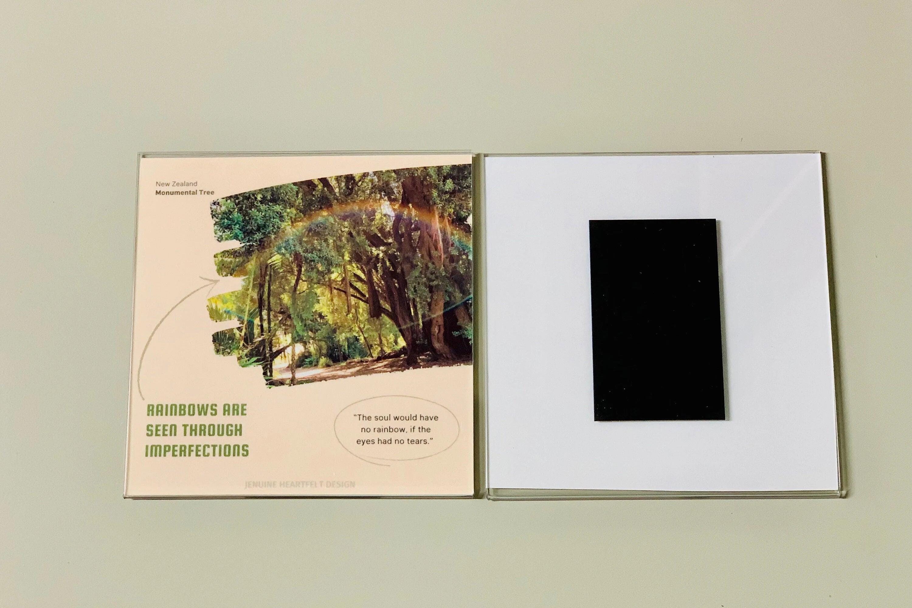 4x4 Monumental Tree Nature Art Print With Magnetic Frame|rainbows Are ...