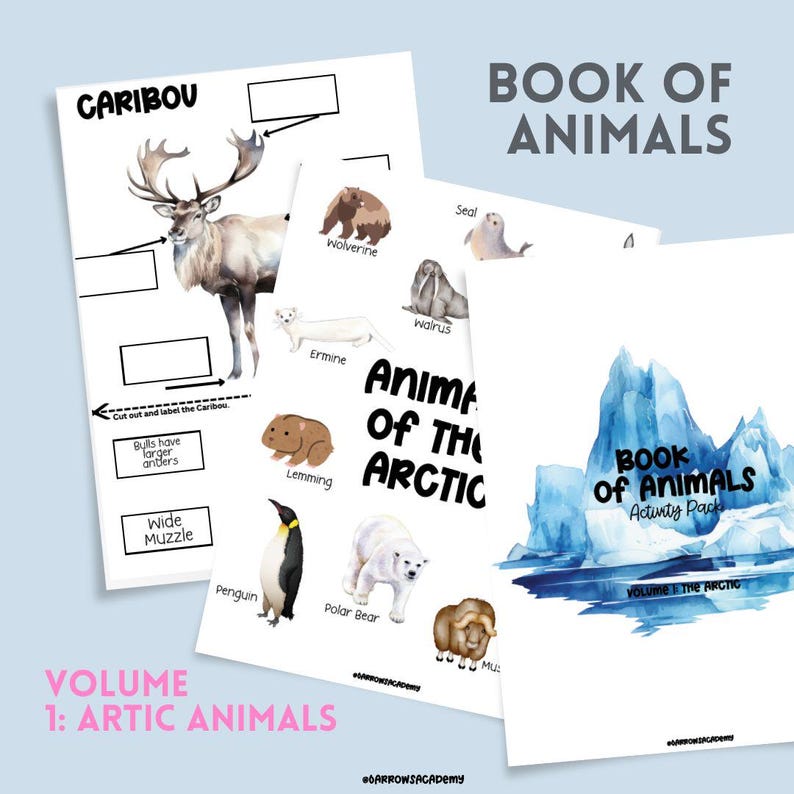 Book of Animals Volume 1: Arctic Animals Activity Pack - Etsy
