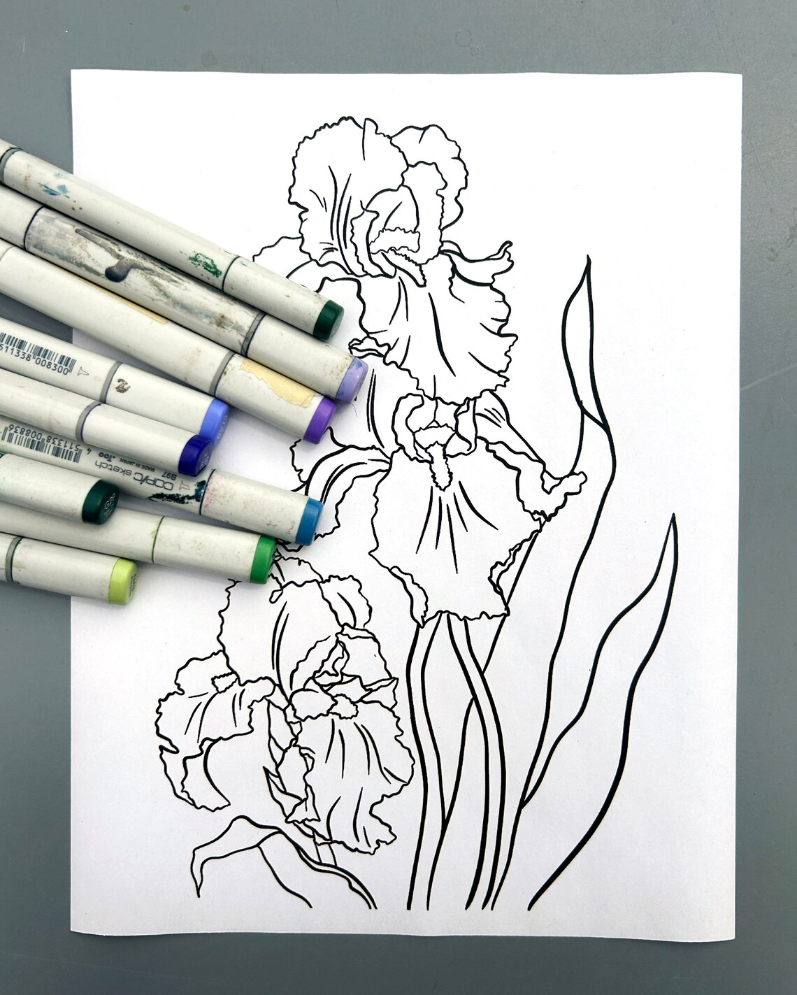 Botanical Illustration Coloring Pages: Digital Download Coloring Pages ...