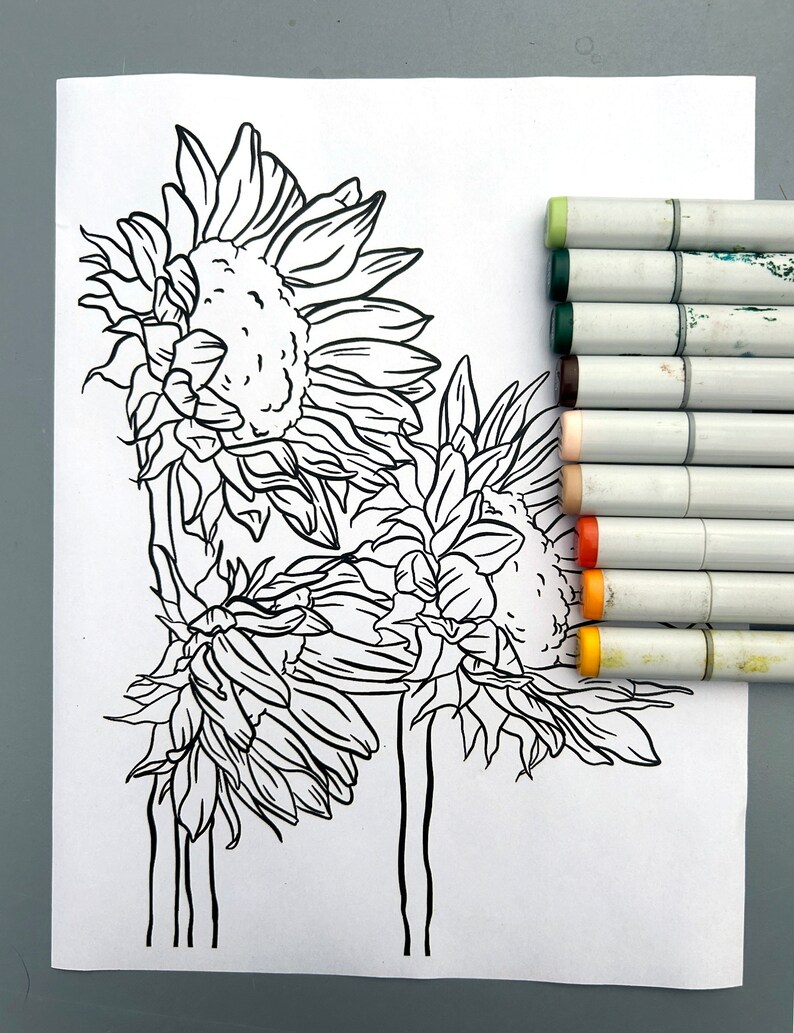 Botanical Illustration Coloring Pages: Digital Download Coloring Pages ...