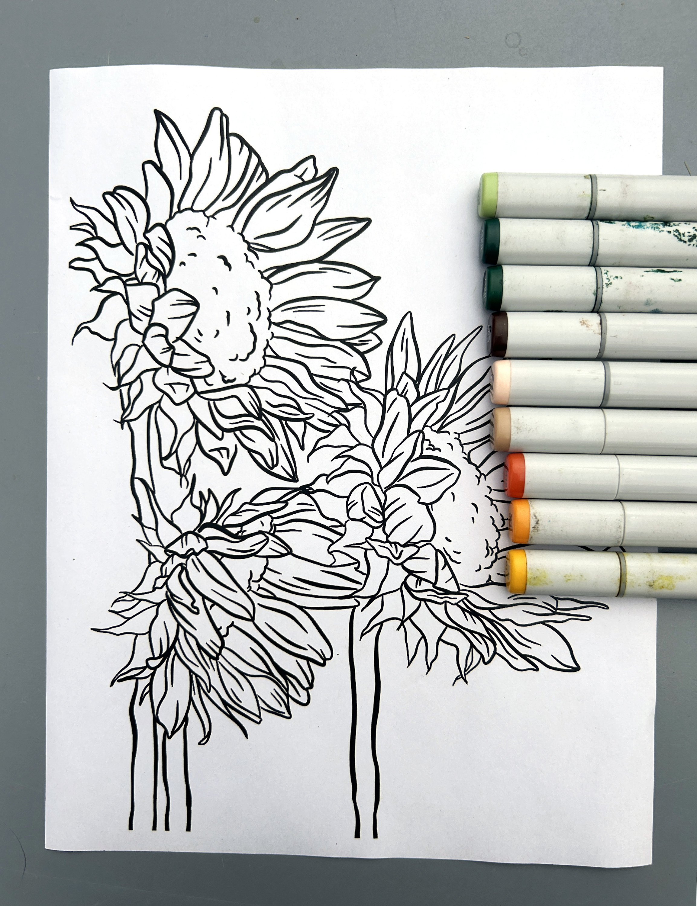 Botanical Illustration Coloring Pages: Digital Download Coloring Pages ...