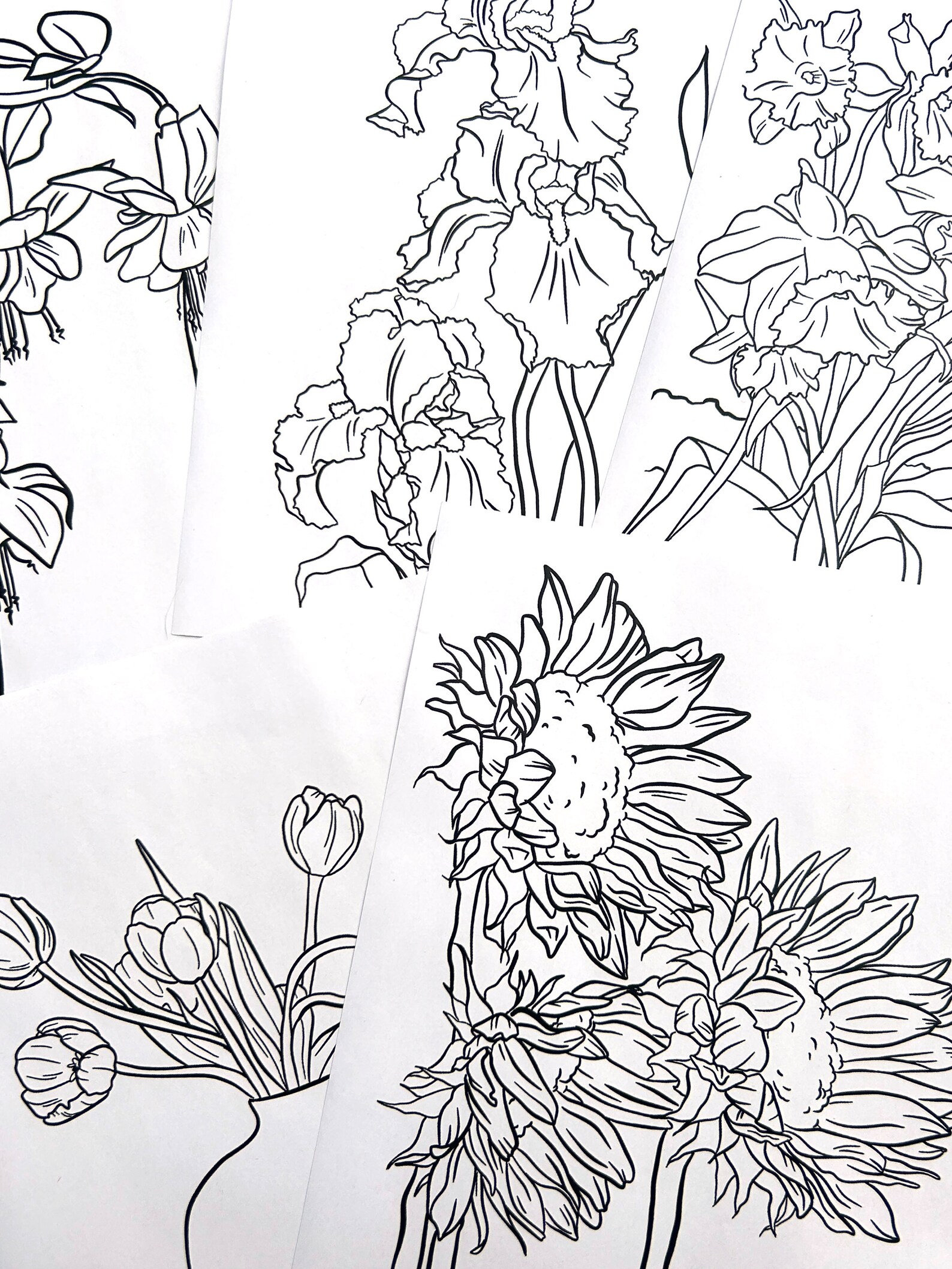 Botanical Illustration Coloring Pages: Digital Download Coloring Pages ...