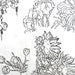 Botanical Illustration Coloring Pages: Digital Download Coloring Pages ...