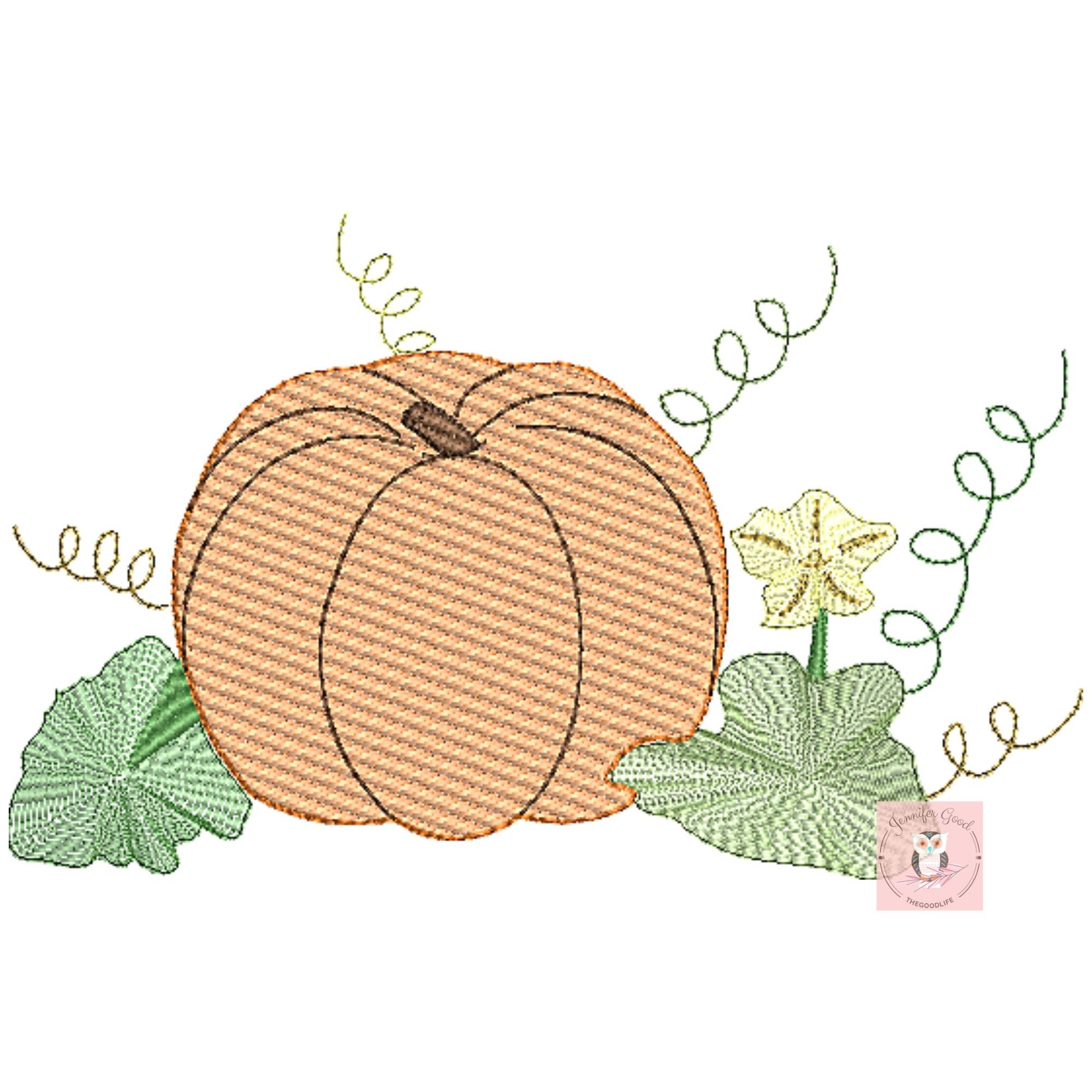 Pumpkin Patch Sketch