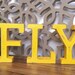 FLY Wood Letters Fly Sign Living Room Art - Etsy