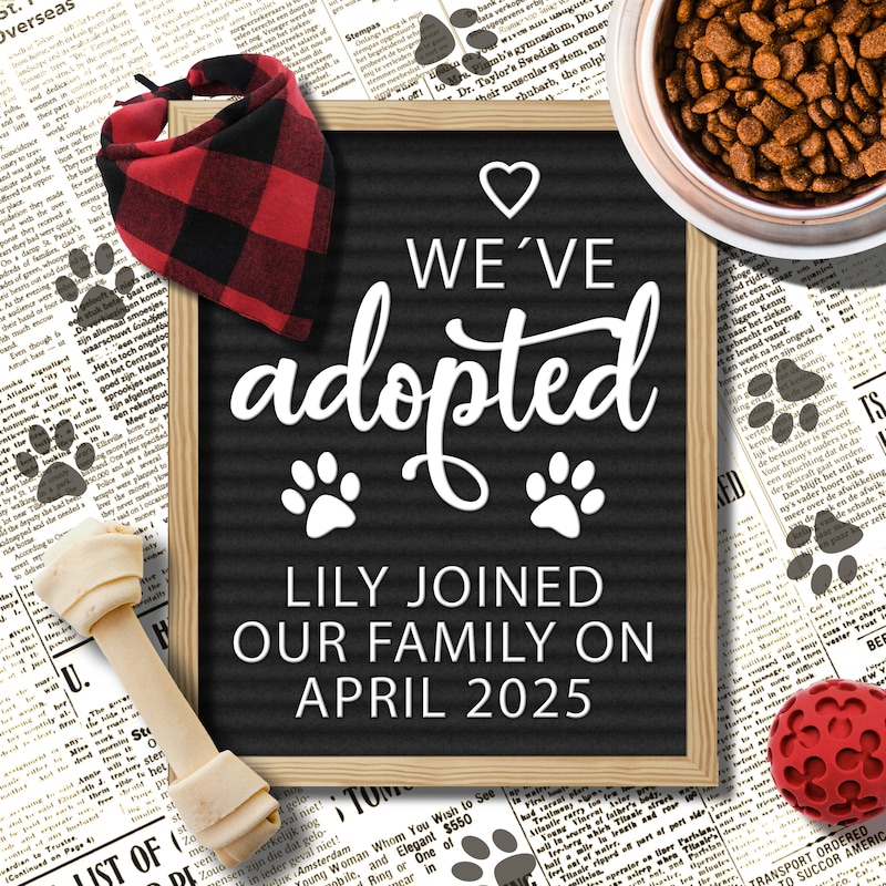 Adoption Announcement - Etsy