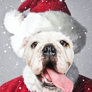 My Pet Reindeer, Pet Portrait From Photo, Digital Christmas Portrait ...