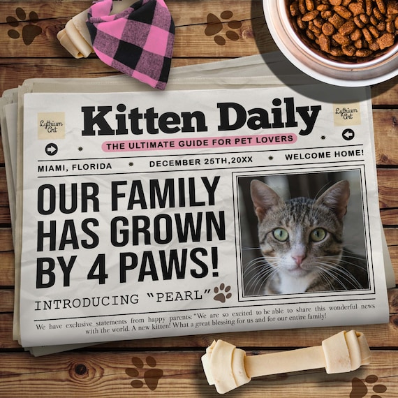 New Kitten Announcement for Social Media, Digital Cat Announcement, Our ...