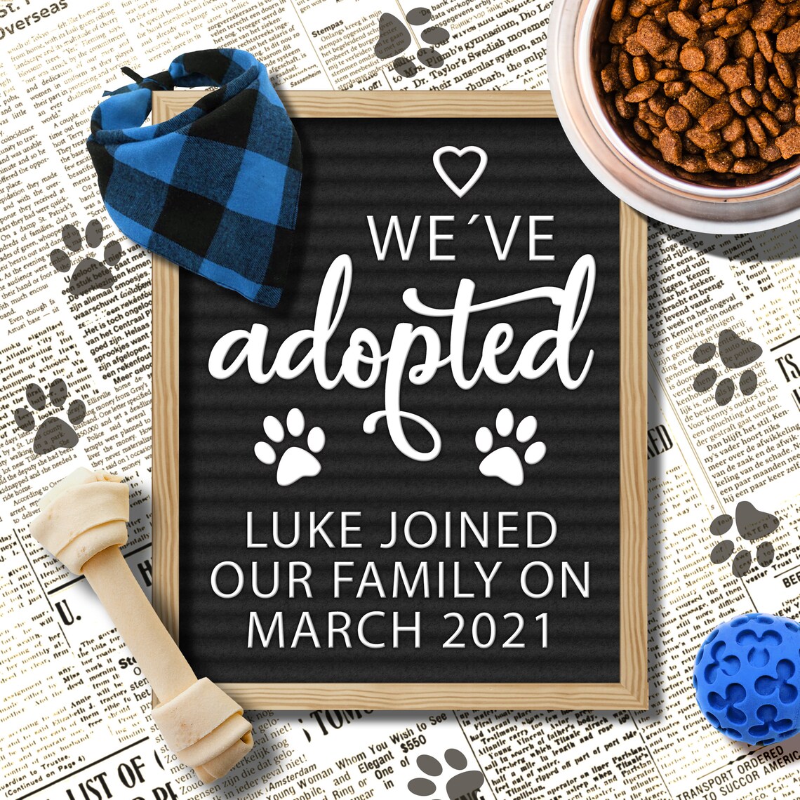 Dog Adoption Announcement for Social Media, New Puppy Announcement ...
