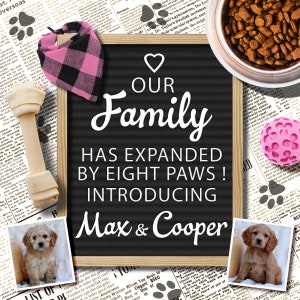 Two Puppies Announcement for Social Media, 2 Pets Announcement, Our ...