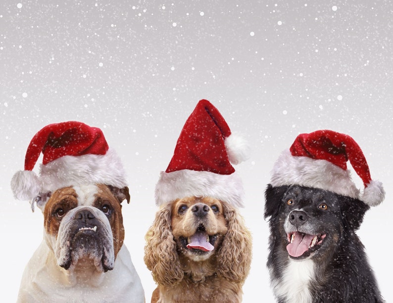 Christmas Three Pets Portrait From Photo, Multiple Pet Portrait, Your ...