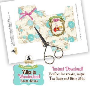 ALICE IN WONDERLAND Box, Alice Party, Alice Birthday Party, Alice ...