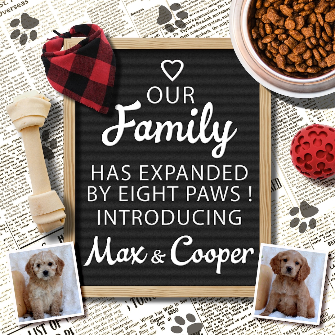 Two Puppies Announcement for Social Media, 2 Pets Announcement, Our ...