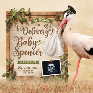 Digital Pregnancy Announcement, Gender Neutral Baby Announcement, Stork ...