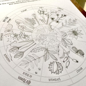 Digital Downloadable Phenology Nature Wheel by Nicki Bradwellq - Etsy