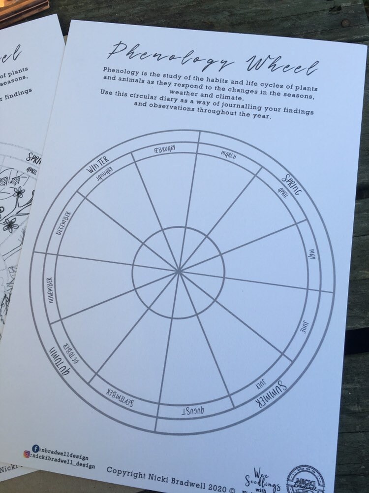 Phenology Nature study calendar wheel blank & colour in. | Etsy
