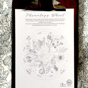 Digital Downloadable Phenology Nature Wheel by Nicki Bradwellq - Etsy