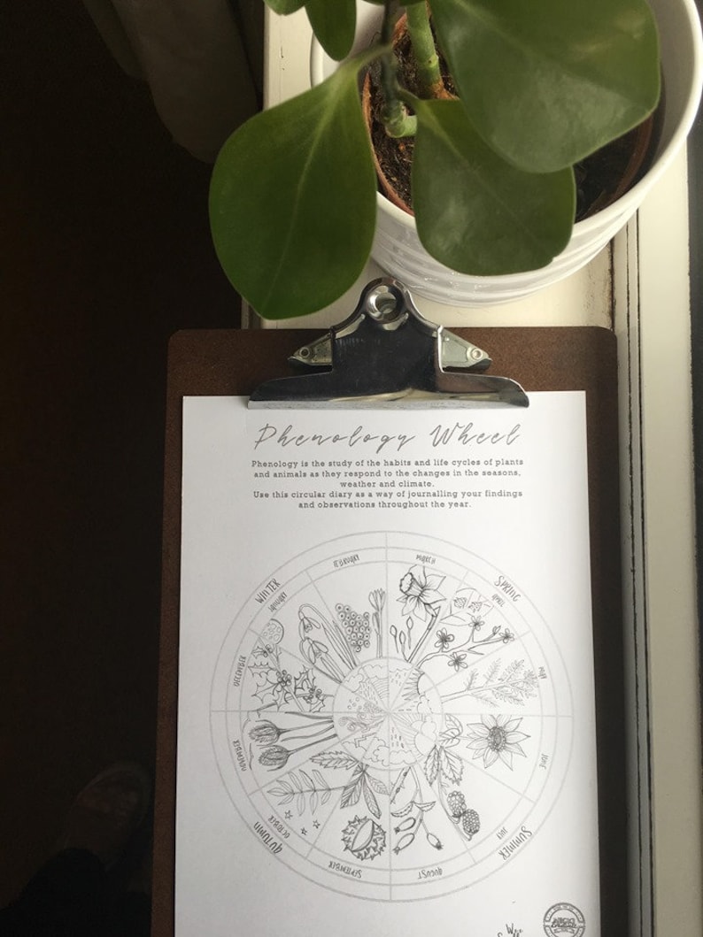 Digital Downloadable Phenology Nature Wheel by Nicki Bradwellq - Etsy