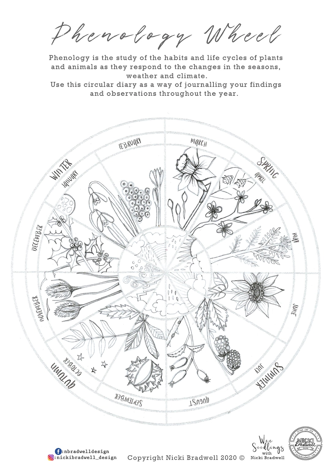 Digital Downloadable Phenology Nature Wheel by Nicki Bradwellq - Etsy