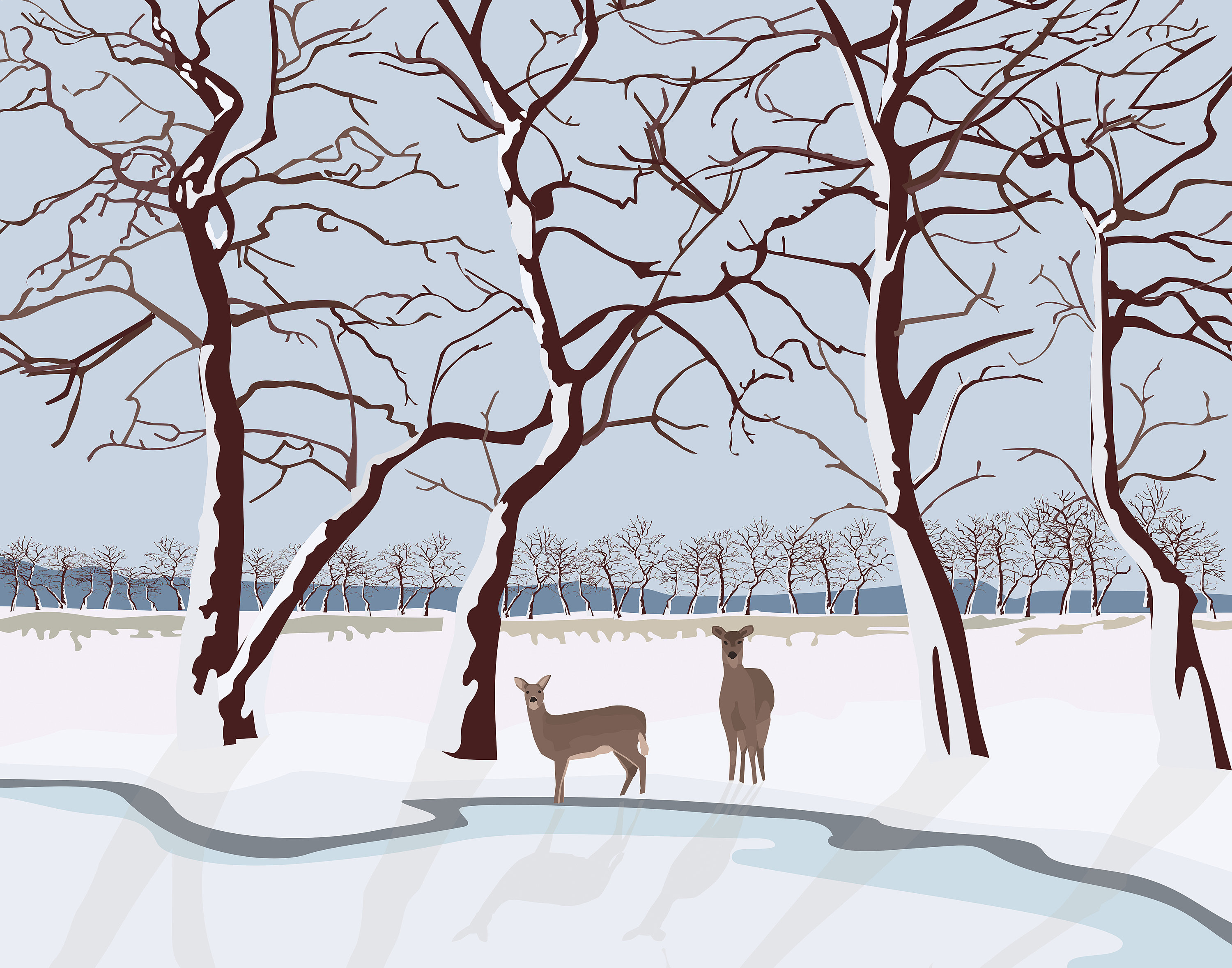 Greeting Cards: Vermont Four Seasons - 12 Cards With Envelopes - Etsy