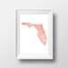 Florida State Pink Watercolor Printable Art, Florida Print, Florida Art ...