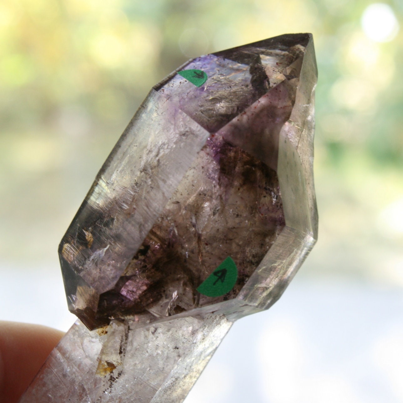 Smoky Quartz/amethyst Scepter With 2 Enhydros Lepidachrosite | Etsy