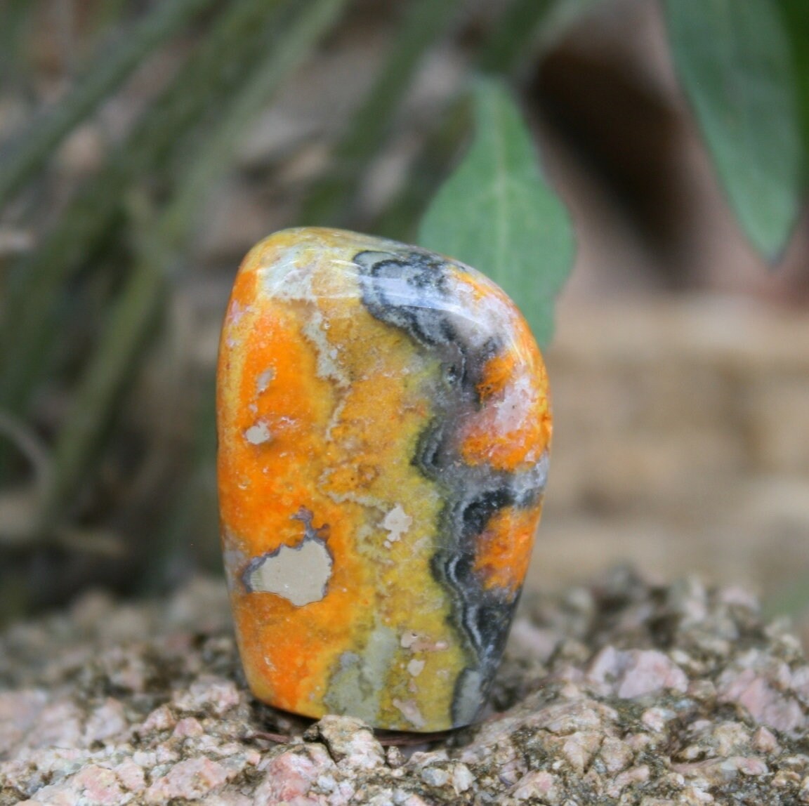 Bumblebee Jasper Sculpture From the Volcano's of - Etsy