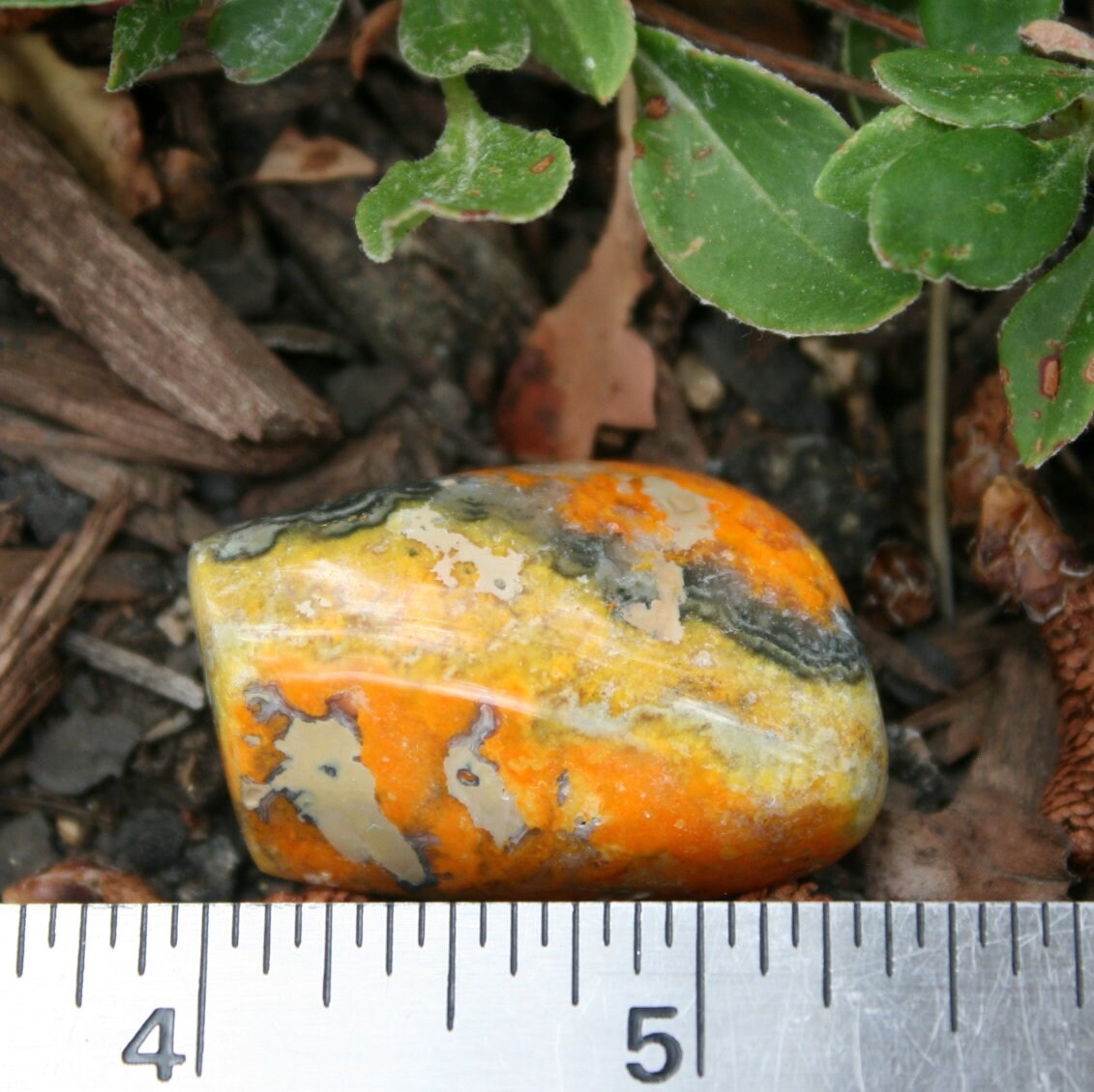 Bumblebee Jasper Sculpture From the Volcano's of - Etsy