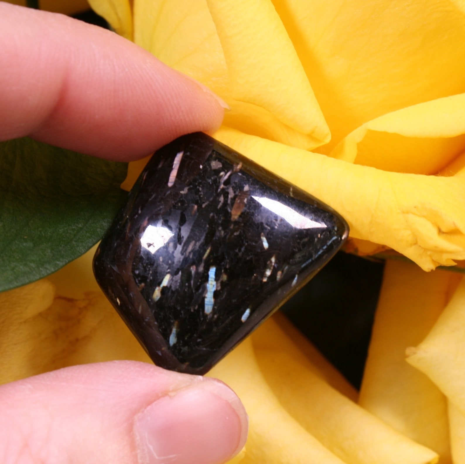 Nuummite Free Form Cabochon, Genuine Nuummite From Greenland - Etsy