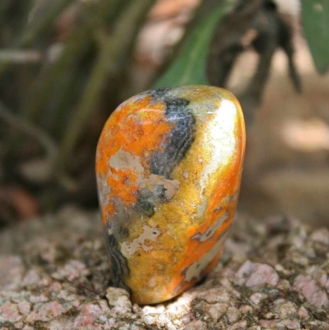 Bumblebee Jasper Sculpture From the Volcano's of - Etsy